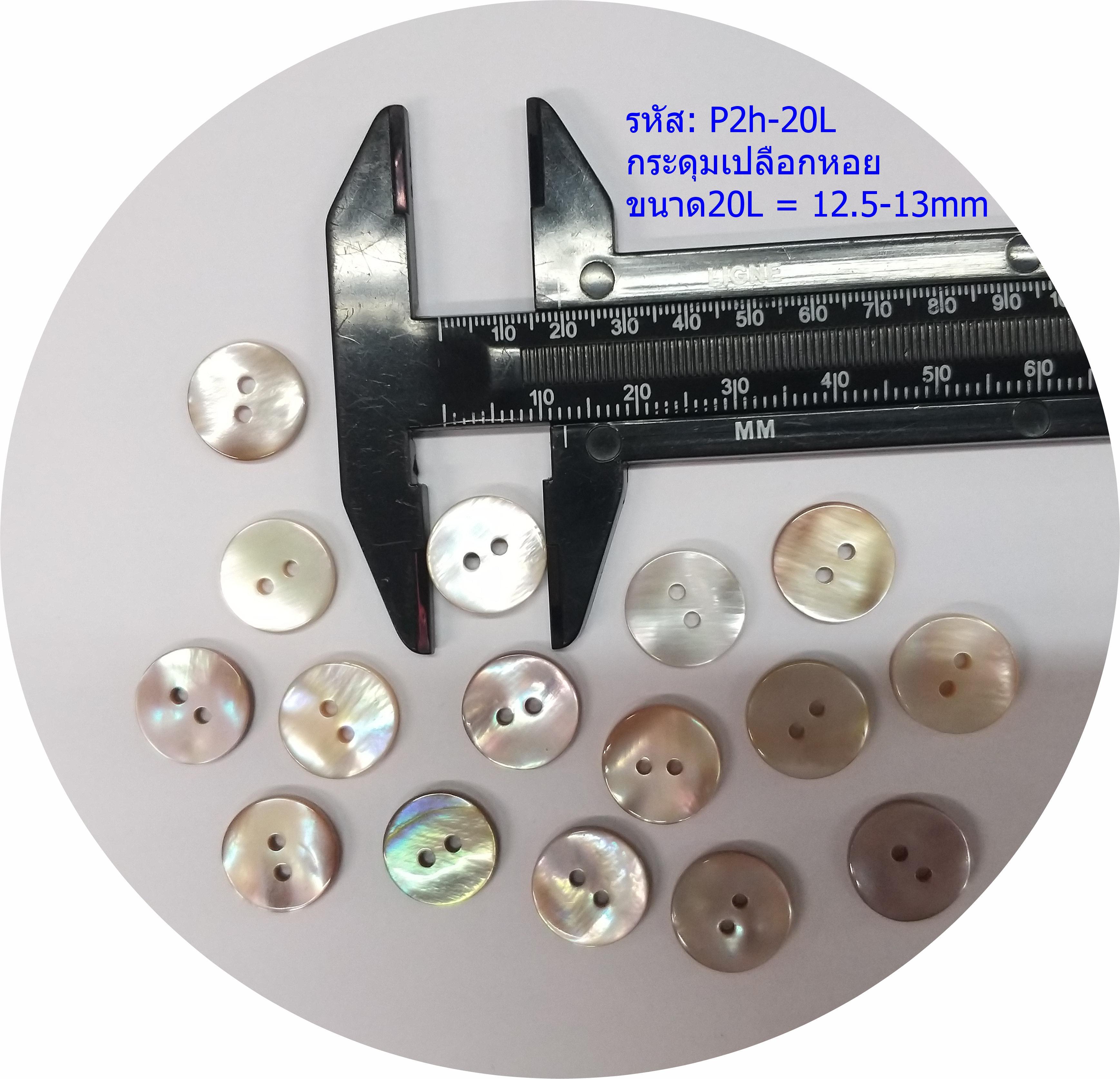 20เม็ด สีเทา 4รู สีขาว Natural Seashell Buttons 20pcs กระดุมเปลือกหอย ...