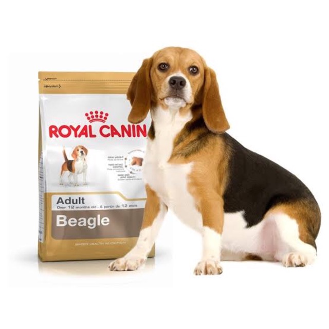นาทีทอง !!! ส่งฟรี Royal Canin Beagle บีเกิ้ล ขนาด 3โล - Ageless2you ...