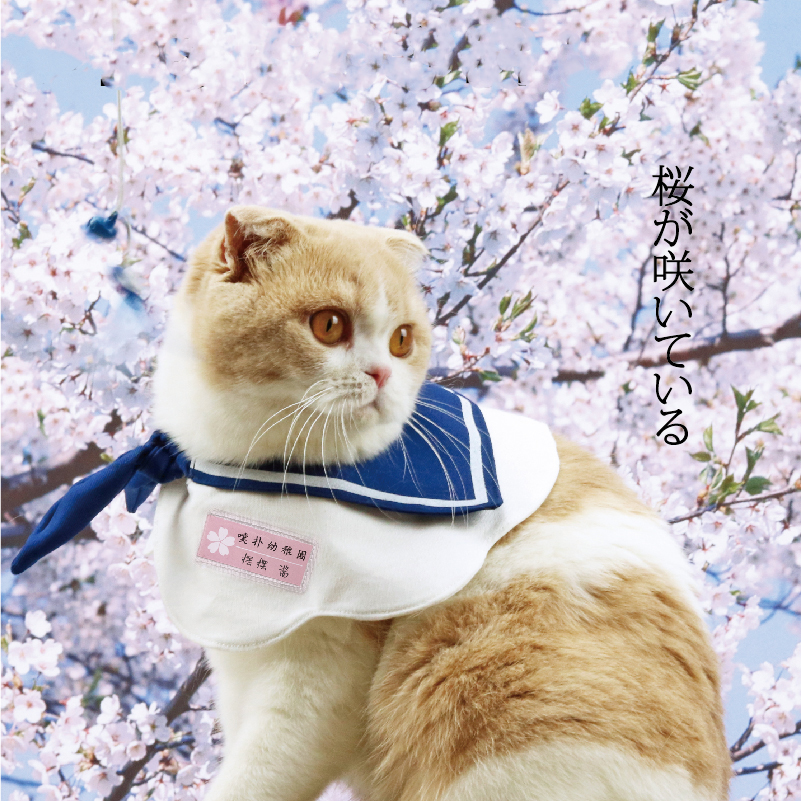 Purlab Student ผ้าคลุมแมว - Leftpert - ThaiPick