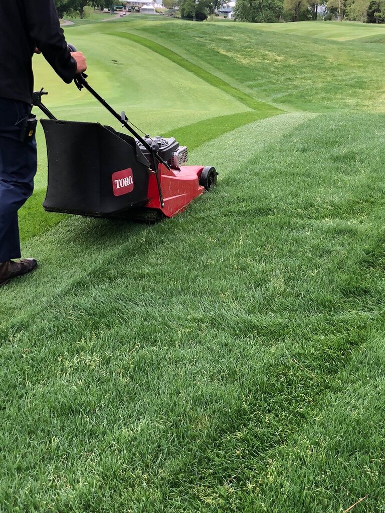 TORO ProStripe 560 รถตัดหญ้าเดินตาม - BEEWORK ENGINEERING (2015) - ThaiPick