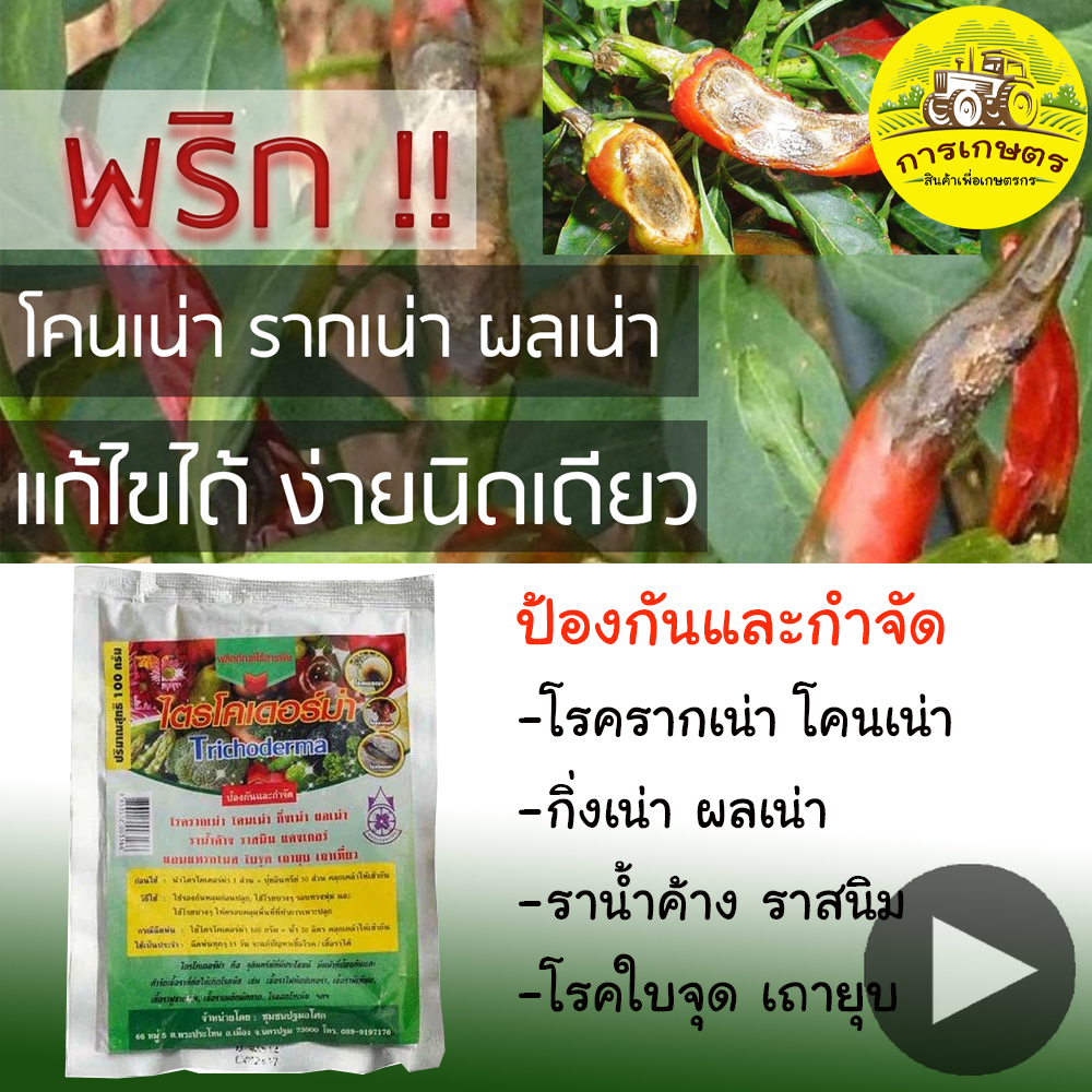 เก็บปลายทางได้ ไตรโคเดอร์ม่า 1 ถุง ป้องกันราสนิม ป้องกัน ผลเน่า ราก