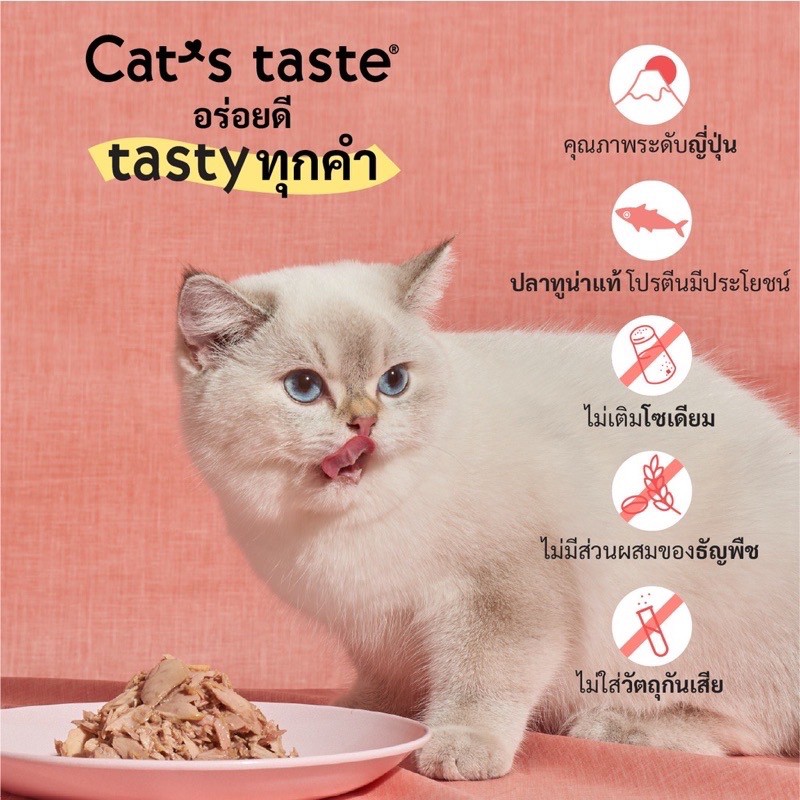 Cats Taste Cat Food Can แคทเทสต์ อาหารเปียกแมว แบบกระป๋อง 170 กรัม (หมด ...