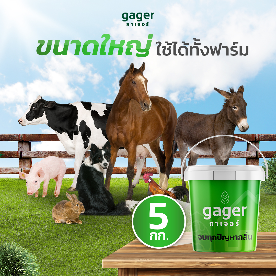 Gager (กาเจอร์) ผงดับกลิ่นทรายแมว ผงดับกลิ่นแมว ผงดับกลิ่นหมา ผงดับ ...