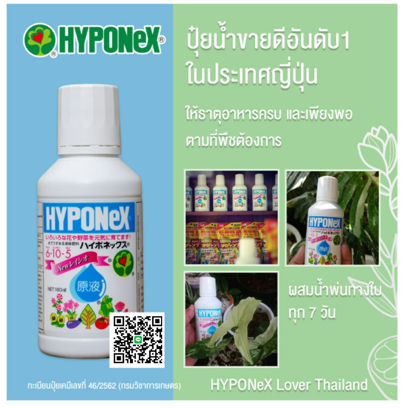 Hyponex ปุ๋ยน้ำ ไฮโปเน็กซ์ 6-10-5 Liquid Fertilizer | Lazada.co.th
