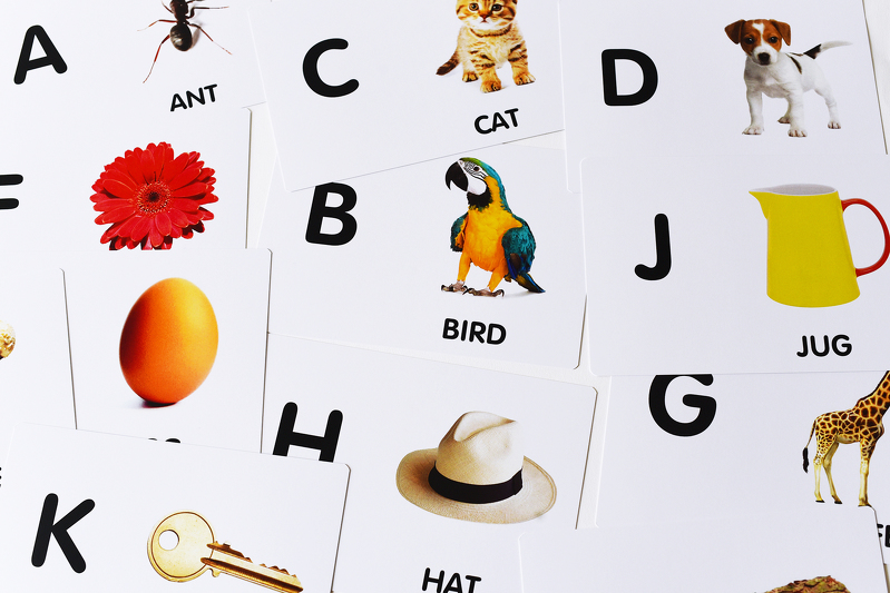 Flash card A-Z (image) จำนวน 26 ใบ ขนาด A5 kp 010 - winnashop - ThaiPick