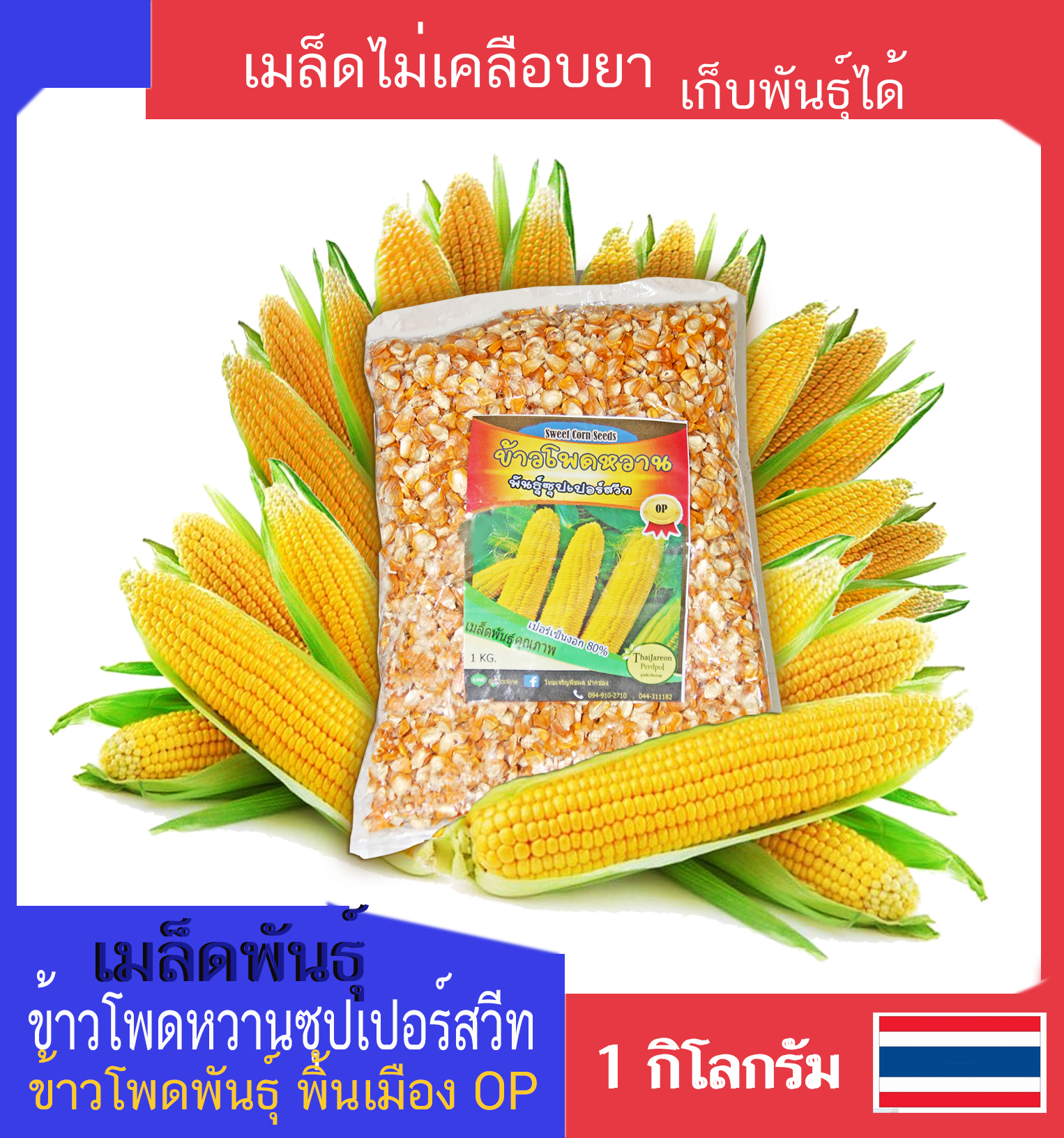 เมล็ดพันธุ์ข้าวโพดหวาน Sweet Corn seed พันธุ์ซุปเปอร์สวีท พันธุ์ OP ...