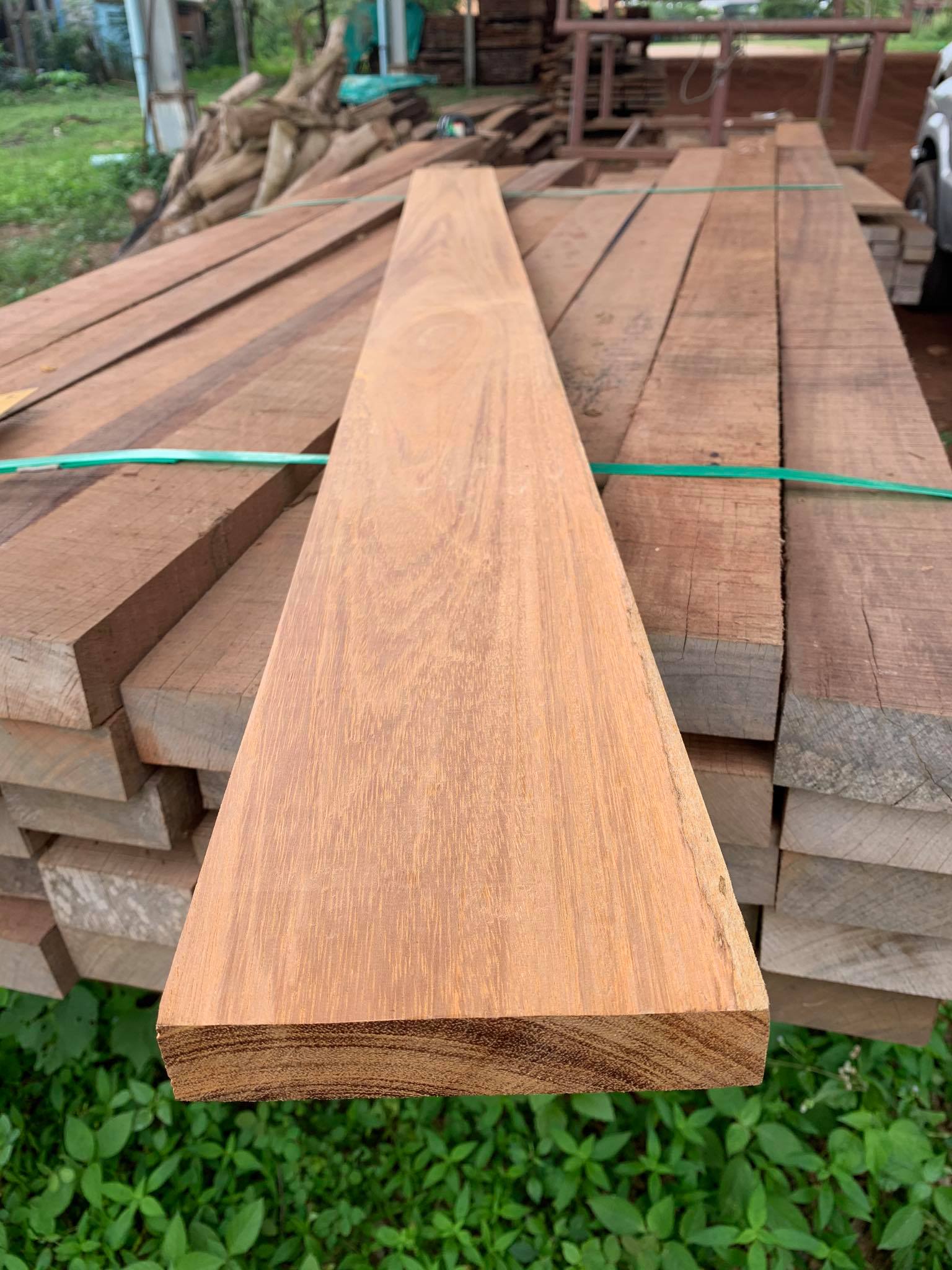 ไม้ตะเคียน(Wood)ขนาด1.5" x 6"ชื่อไม้Merawan Wood มีสีเหลืองขาวนวลลายไม้ ...
