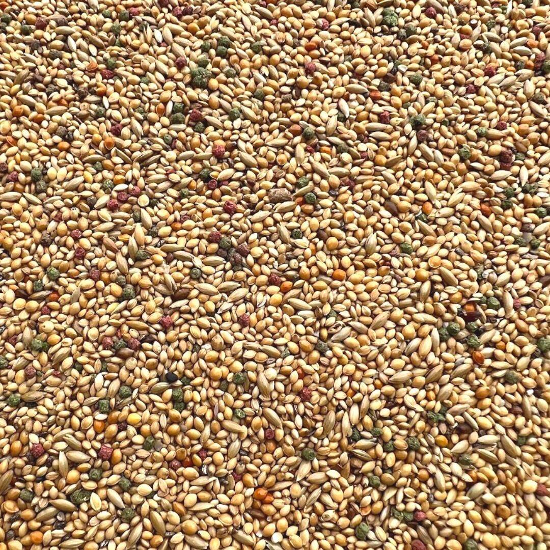 Prestige Premium Tropical Finches อาหารนกพรีเมี่ยมฟินซ์ ธัญพืชผสม สูตรพ ...