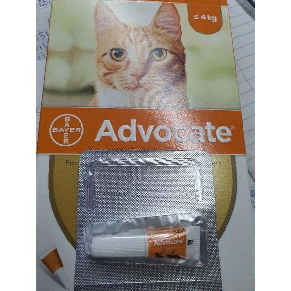 【สินค้ายอดนิยม】 Advocate Cats Kill Tick Flea ยาหยอด เห็บ หมัด แมว ...