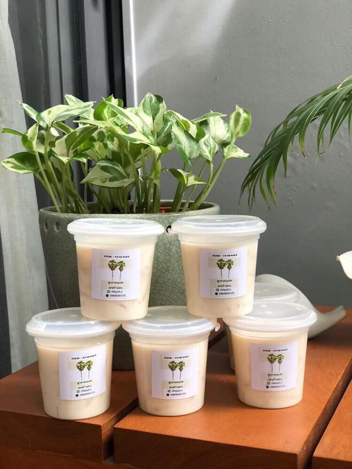 เริ่มต้น100ใบยกลัง500ใบ ถ้วยฝาฉีก ถ้วยฟรุ๊ตสลัด ถ้วยเต้าฮวยนมสด ถ้วยเต้าหู้นมสด ถ้วยสังขยา ถ้วย ...