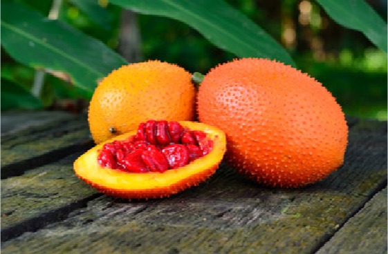 ฟักข้าว(Gac fruit) 10เมล็ด/ซอง - Greeningplus - ThaiPick