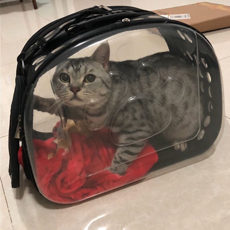 Transparent Cat Backpack Fashion Cat Bag Carrier For Cats Space Capsule ...