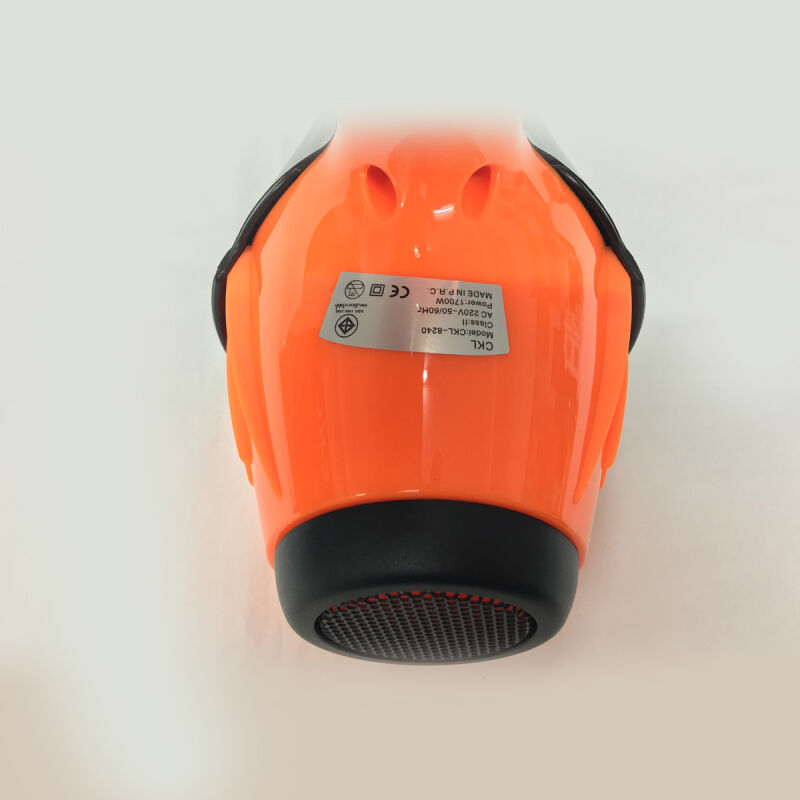 CKL Twosister ไดร์เป่าผม1700วัตต์ รุ่นCKL-8240 - KAPAO - ThaiPick