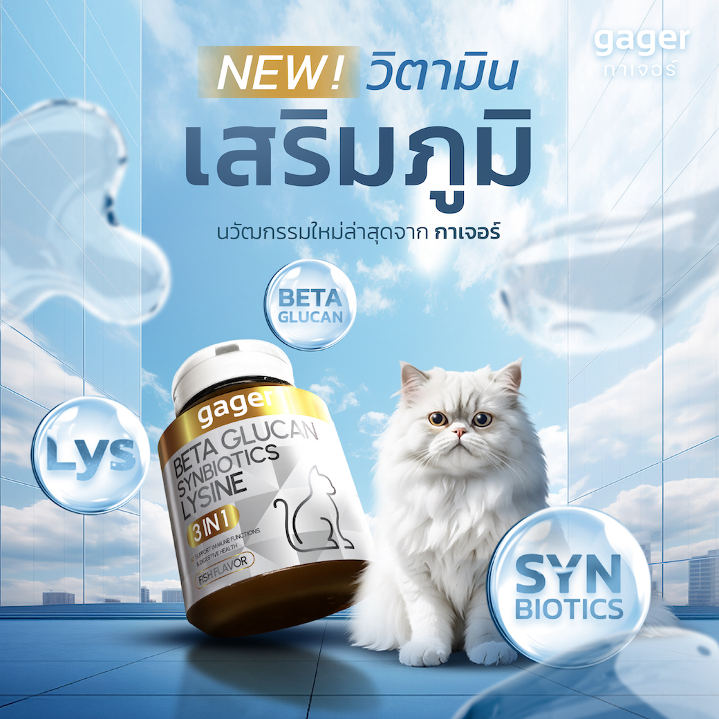 Gager (กาเจอร์) วิตามินแมว 3in1 เบต้ากลูแคนไลซีนซินไบโอติก เสริมภูมิแมว ...