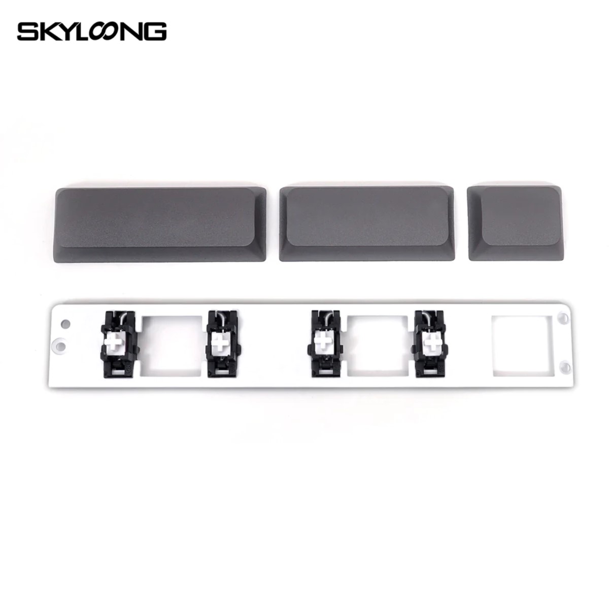 ของมันต้องมี SKYLOONG Accessories Split Spacebar Module Hot Swappable ...