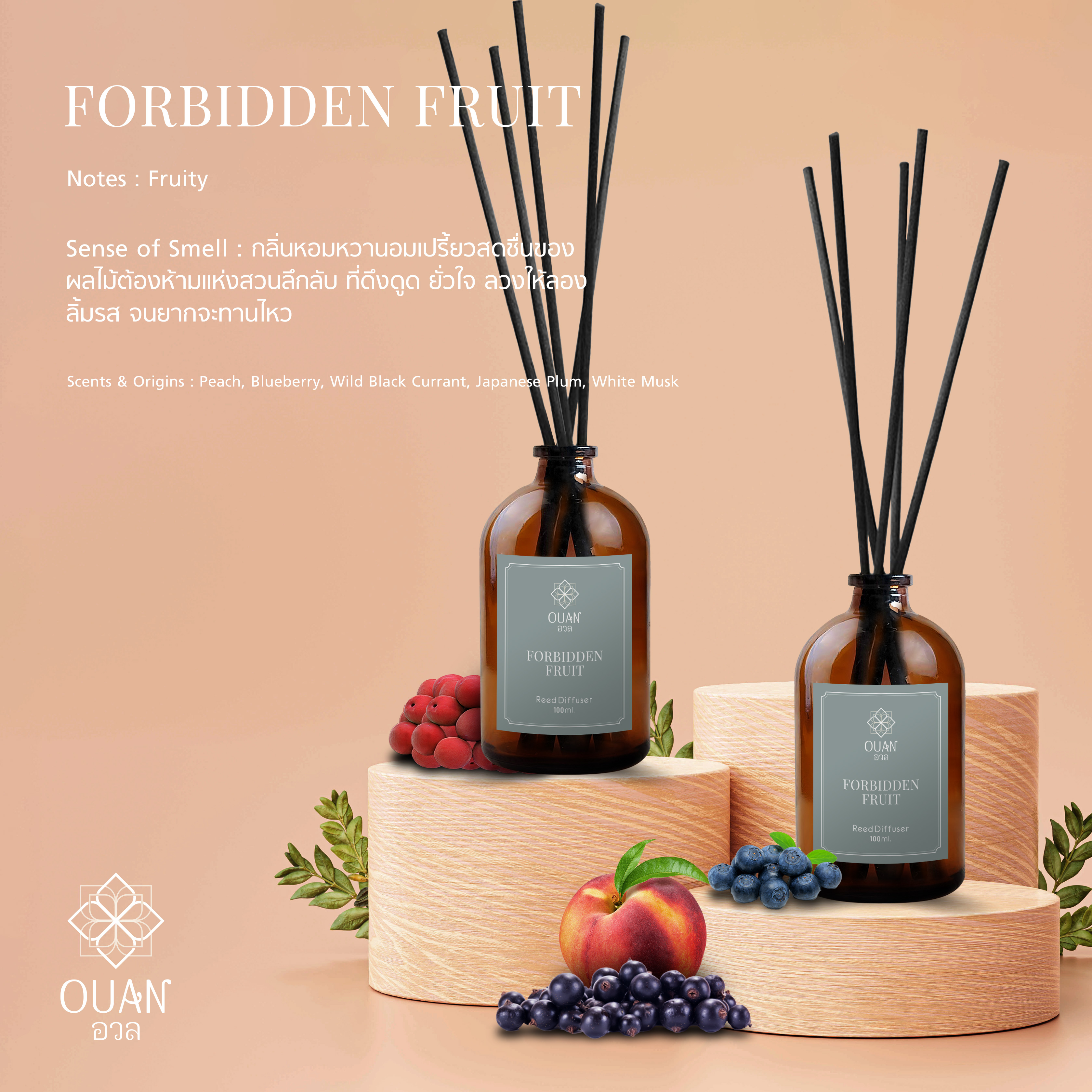 Reed Diffuser (100 ml) จัดชุด 2 ขวดราคาพิเศษ อวล ก้านไม้หอม ก้านไม้หอมปรับอากาศ - MixASale