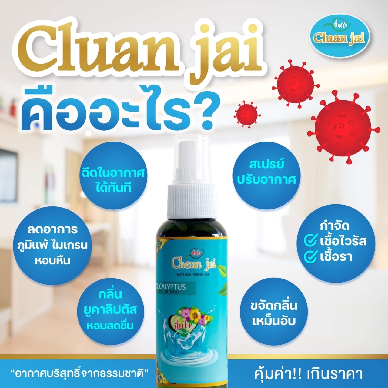 (5 ขวด)cheun jai ชื่นใจ สเปรย์สมุนไพรปรับอากาศ 30ml - Baikaw125 - ThaiPick