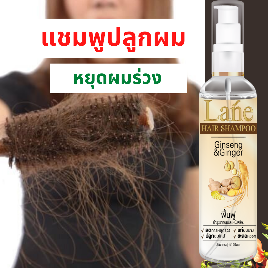Lane Hair Shampoo แชมพูปลูกผม แชมพูสระผม ขนาด 120 ml. 1 ขวด | Lazada.co.th