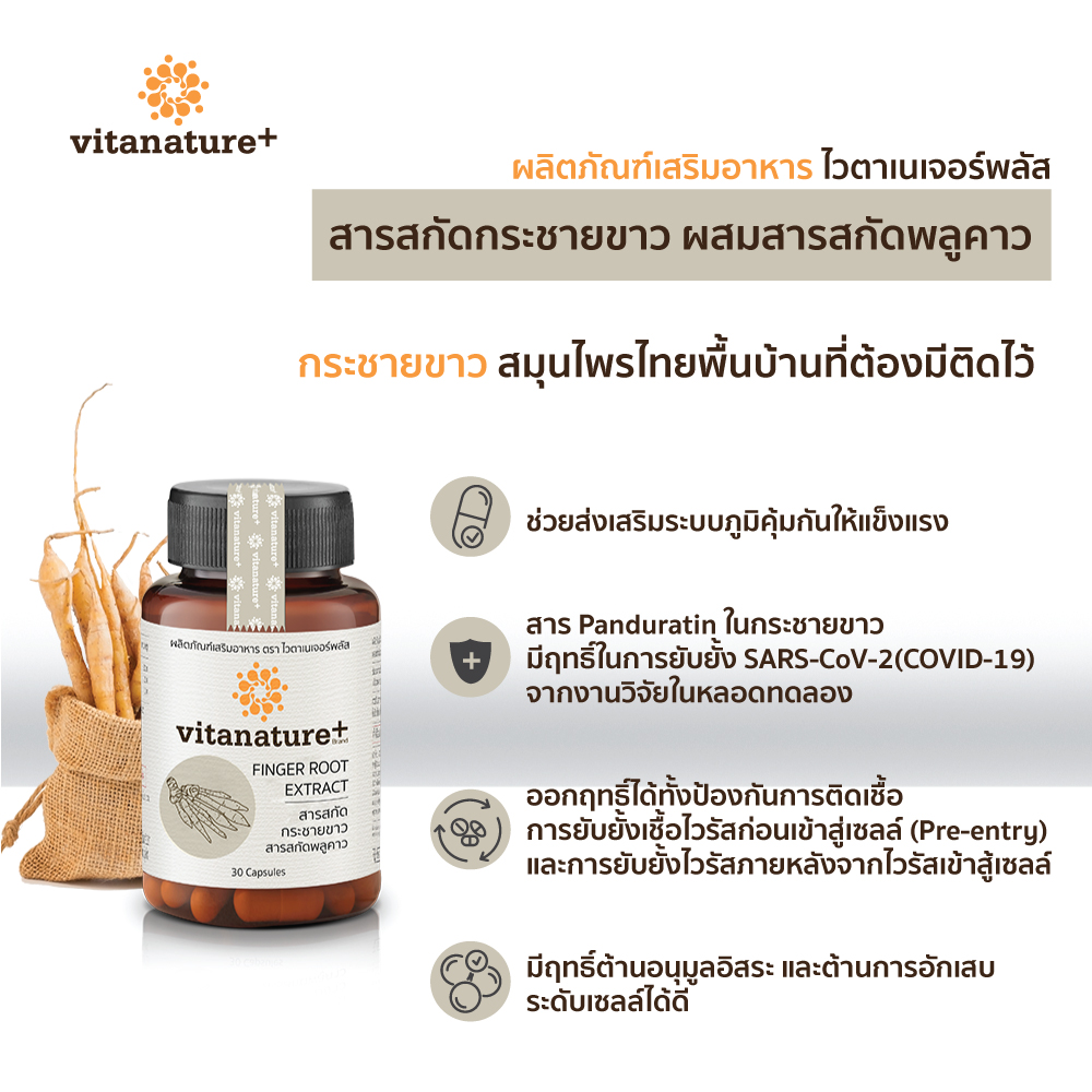Vitanature+ Finger root extract with Plu kaow 3 กระปุก ไวตาเนเจอร์พลัส ...