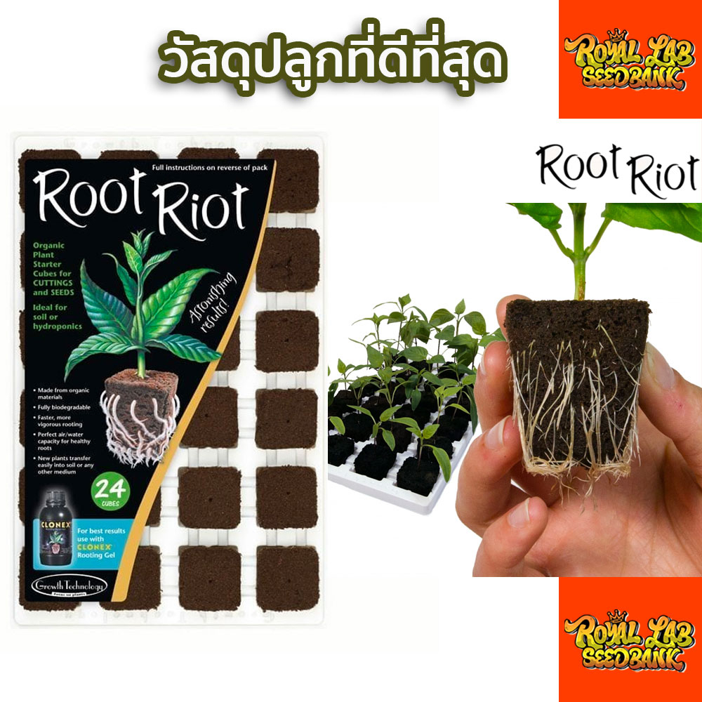 วัสดุปลูก Root Riot Planter Cubes for Germination 1 Cube แบ่งขายเป็น ...