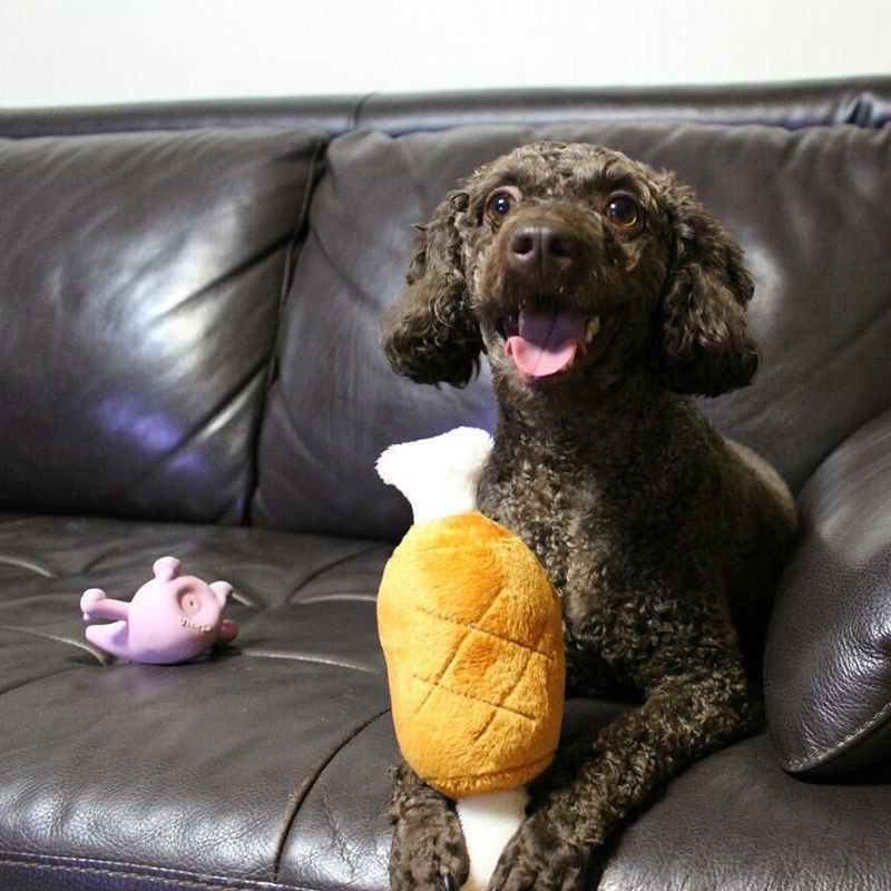 Pet Toys Cute Chicken Leg Plush Toy Puppy Kitten Chihuahua Toys Chewers ...
