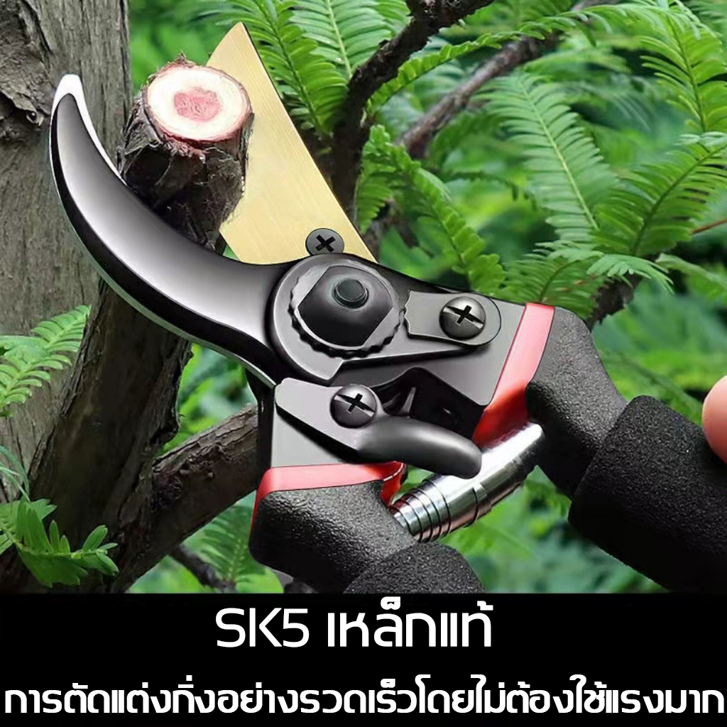 QXกรรไกรตัดกิ่ง โลหะผสมเหล็กSK5 10ปีก็คมเหมือนเดิมเครื่องมือทำสวน กรรไกรเสียบยอด ที่ตัดกิ่งไม้ ...