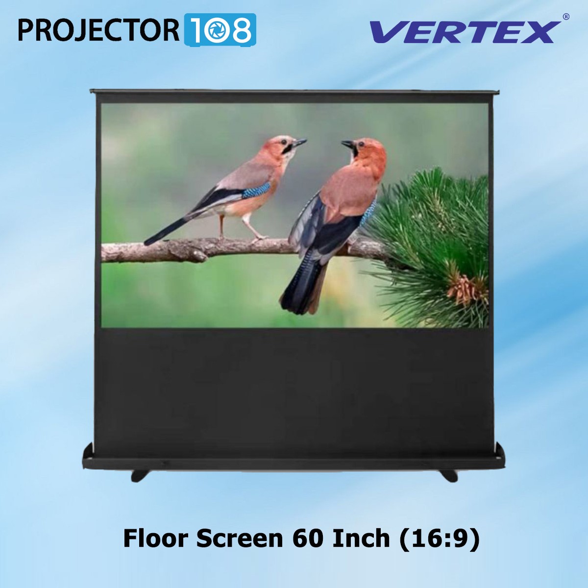 Vertex Portable Floor Screen 60 Inch (16:9) Manual Floor Pull Up ...