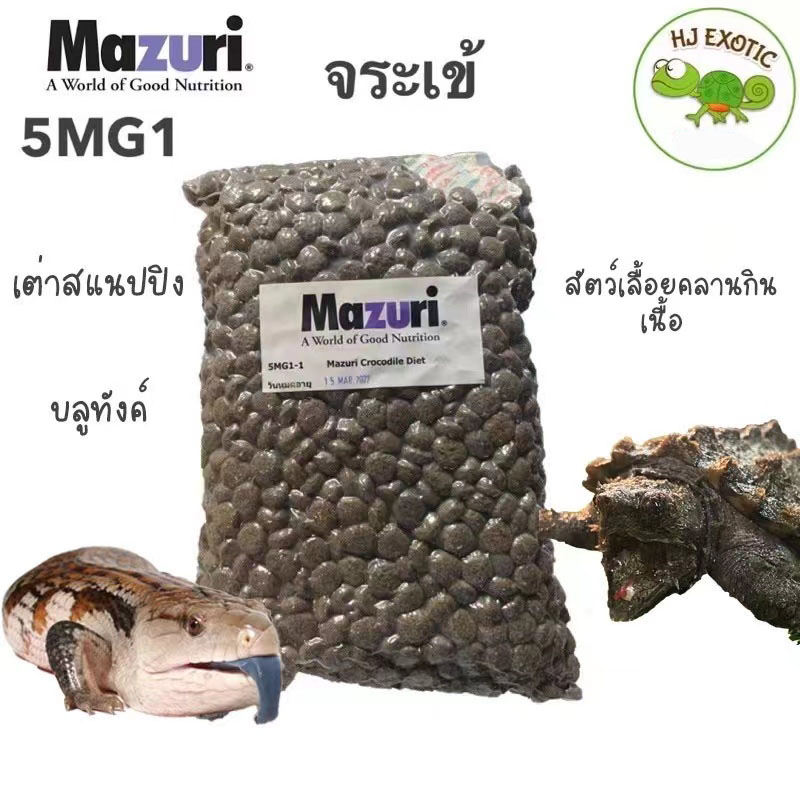 อาหารสัตว์เลื้อยคลานกินเนื้อ มาซูริจระเข้ Mazuri Crocodile Diet 1 ...