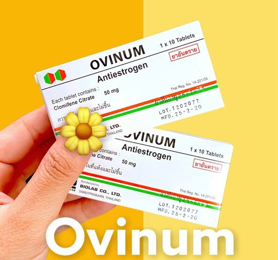 **พร้อมส่งทันทีคะ** OVINUM - โอวินุ่ม ???? ️ แผงละ 10 เม็ด สำหรับคนอยาก ...