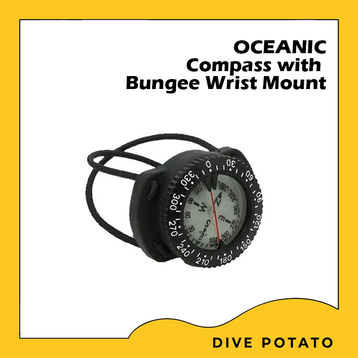 Compass with Bungee Wrist Mount | Lazada.co.th