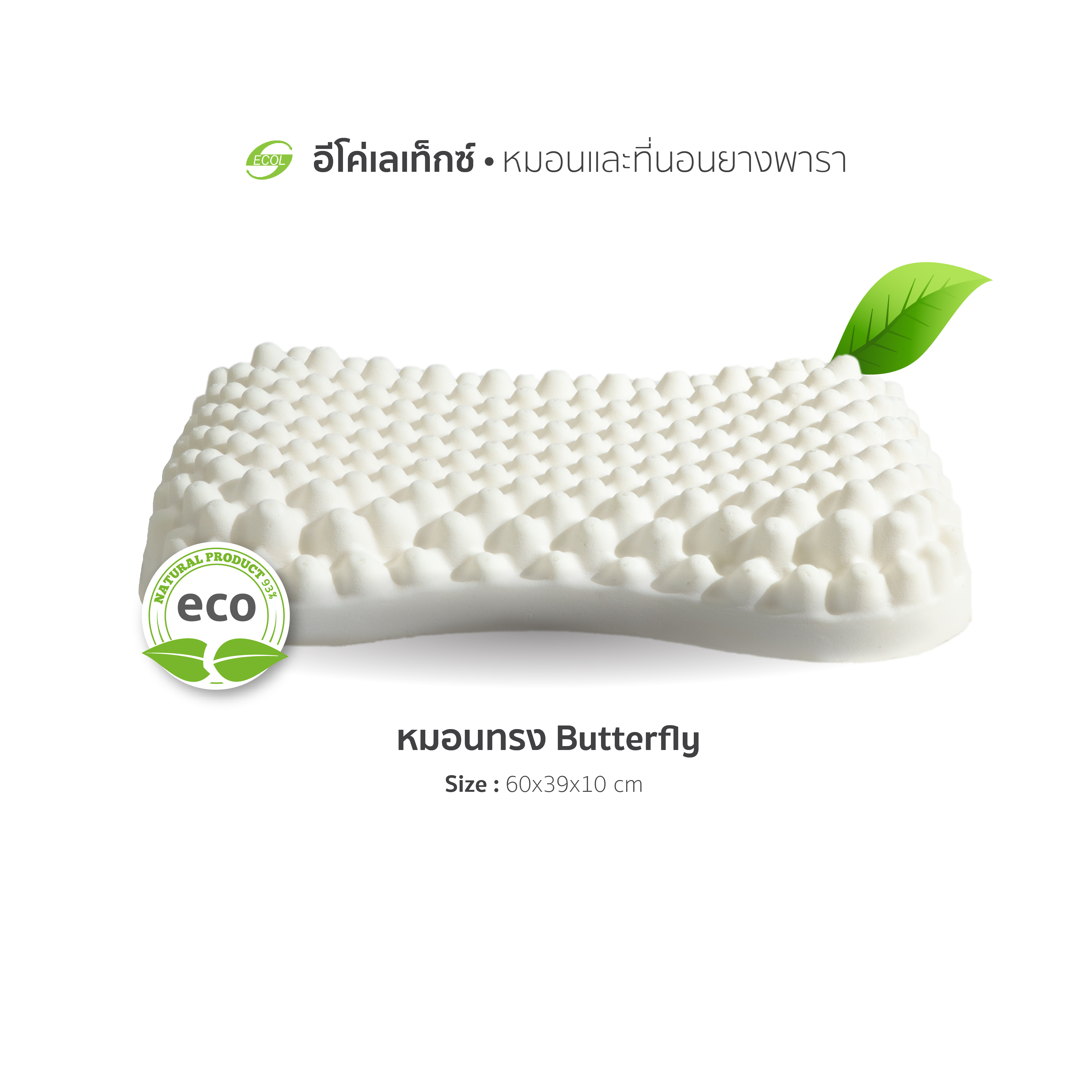 หมอนยางพารา อีโค่เลเท็กซ์ ทรง Butterfly ของแท้จากบริษัทโดยตรง - ECO ...