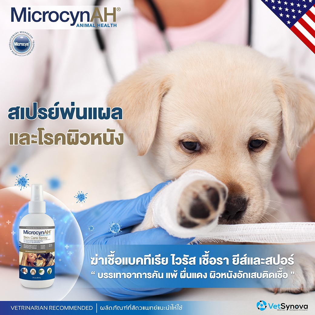 Microcyn AH Wound & Skin care spray 59 ml Exp.8/2024 สเปรย์ฆ่าเชื้อ ลด ...