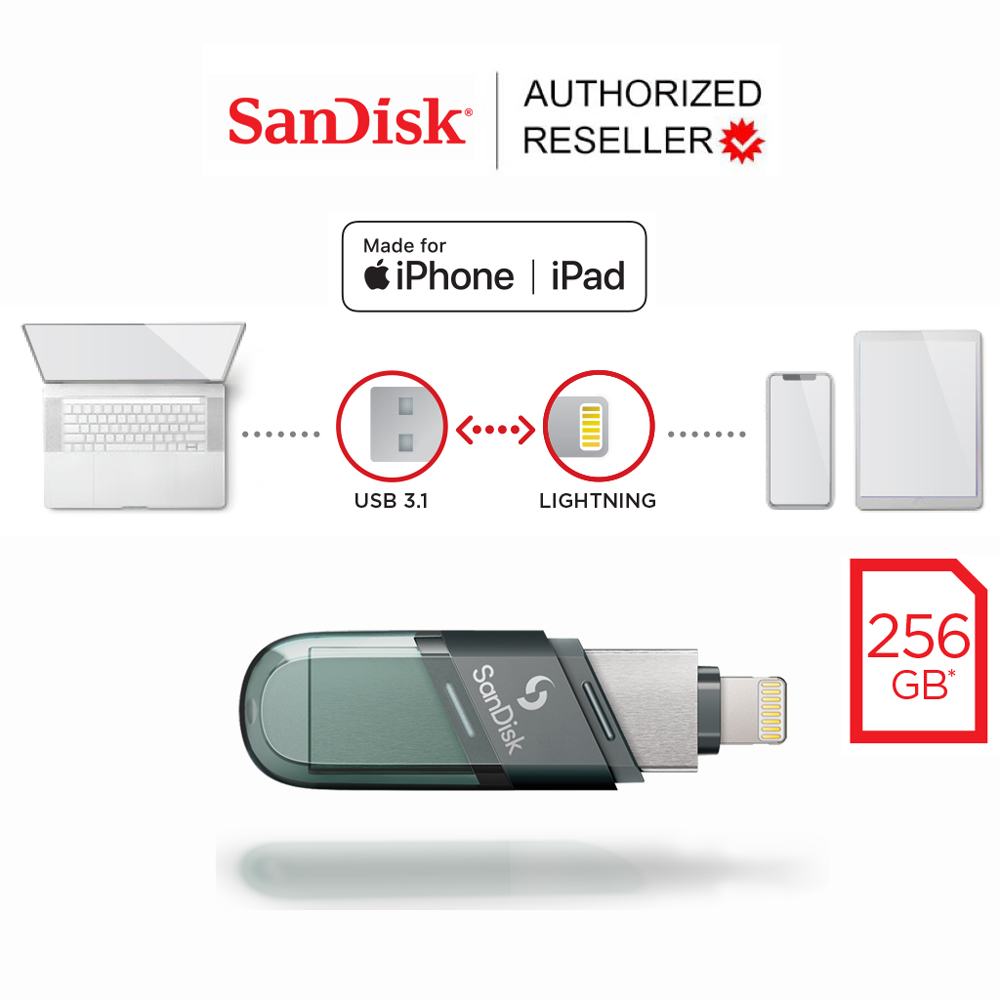 SanDisk iXpand Flash Drive Flip 256GB 2 in 1 Lightning and USB A 3.1 ...