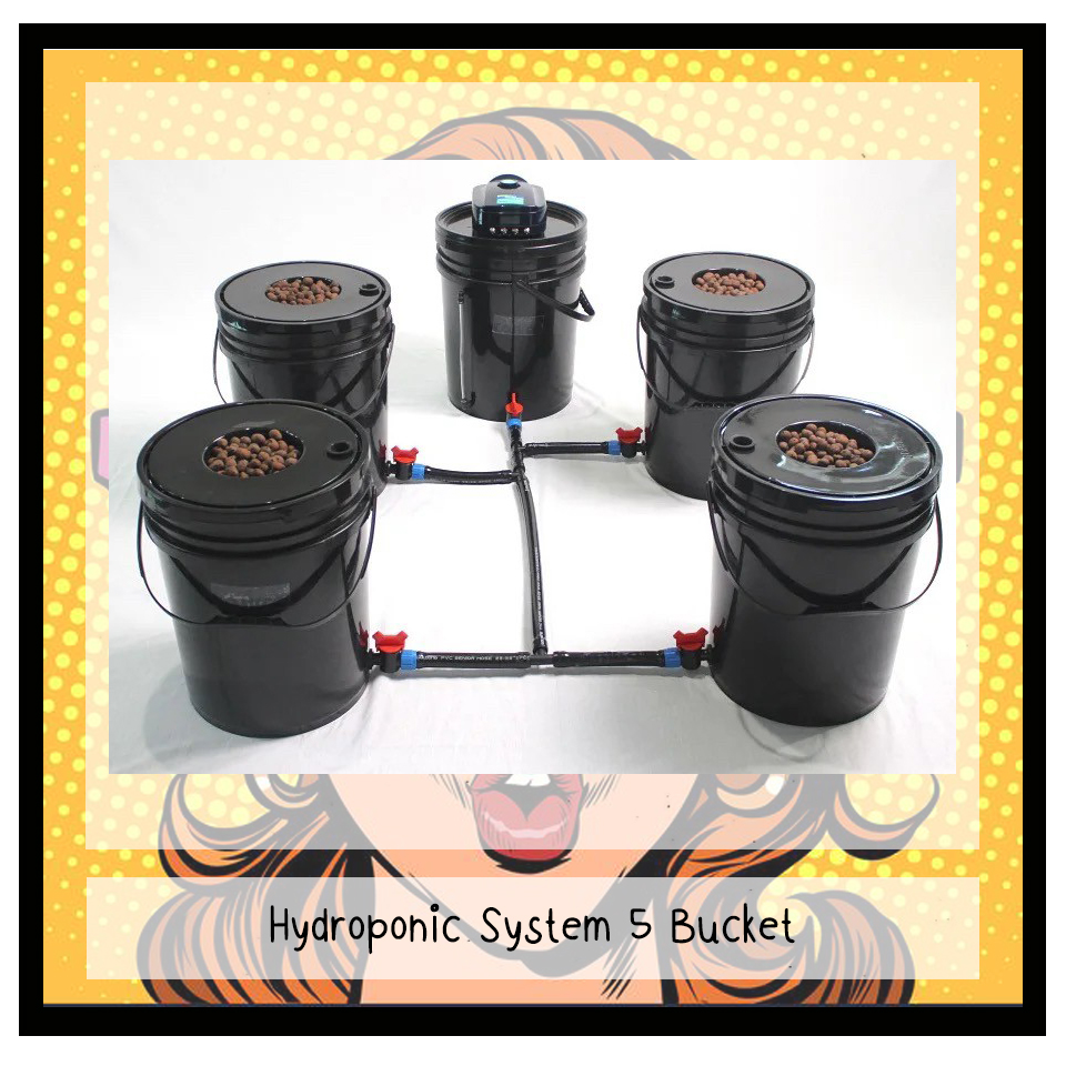 (พร้อมส่ง) ชุดปลูกครบเซ็ท Hydroponic Grow System Deep Water Culture ...