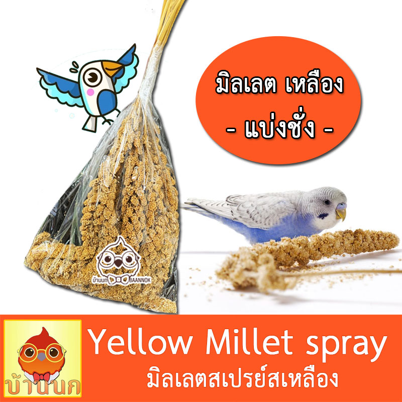 มิลเลตสเปรย์ แบ่งชั่ง 200g / 500g Yellow Millet spray หัดแทะ แก้เบื่อ ...