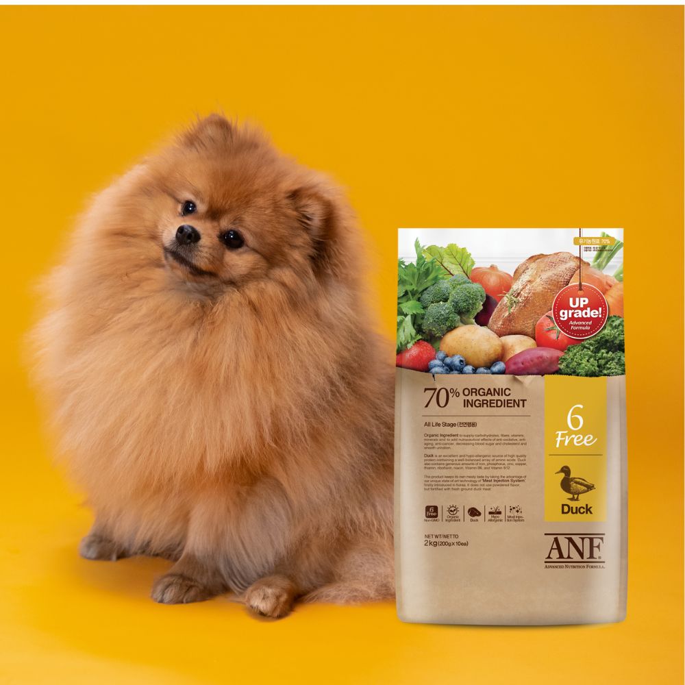 2Kg อาหารสุนัข ANF 6 Free Duck Dog Food for All Breeds and Ages สูตร ...