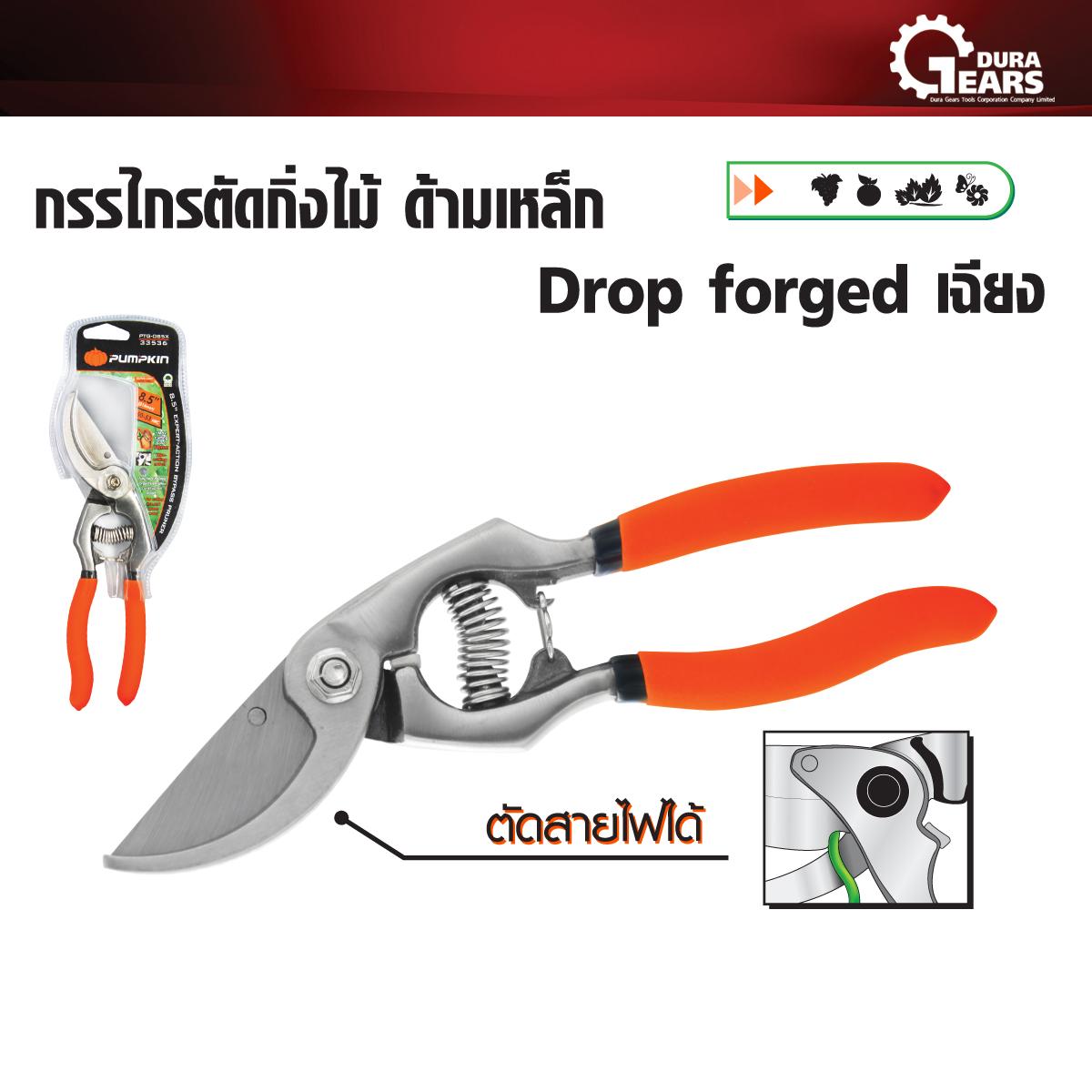 PUMPKIN - พัมคิน กรรไกรตัดกิ่งไม้ ด้ามเหล็ก Drop forged เฉียง ขนาด 8.5 ...