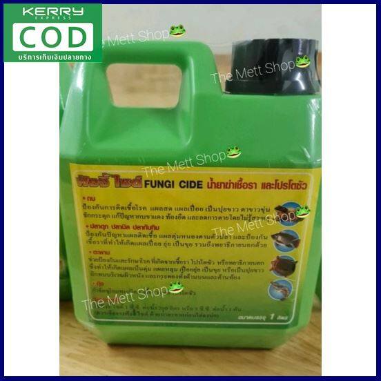 ยาฆ่าเชื้อกบ Fungi Cide ฟังจี้ ไซด์ น้ำยาฆ่าเชื้อราและโปรโตซัว สำหรับกบ ...