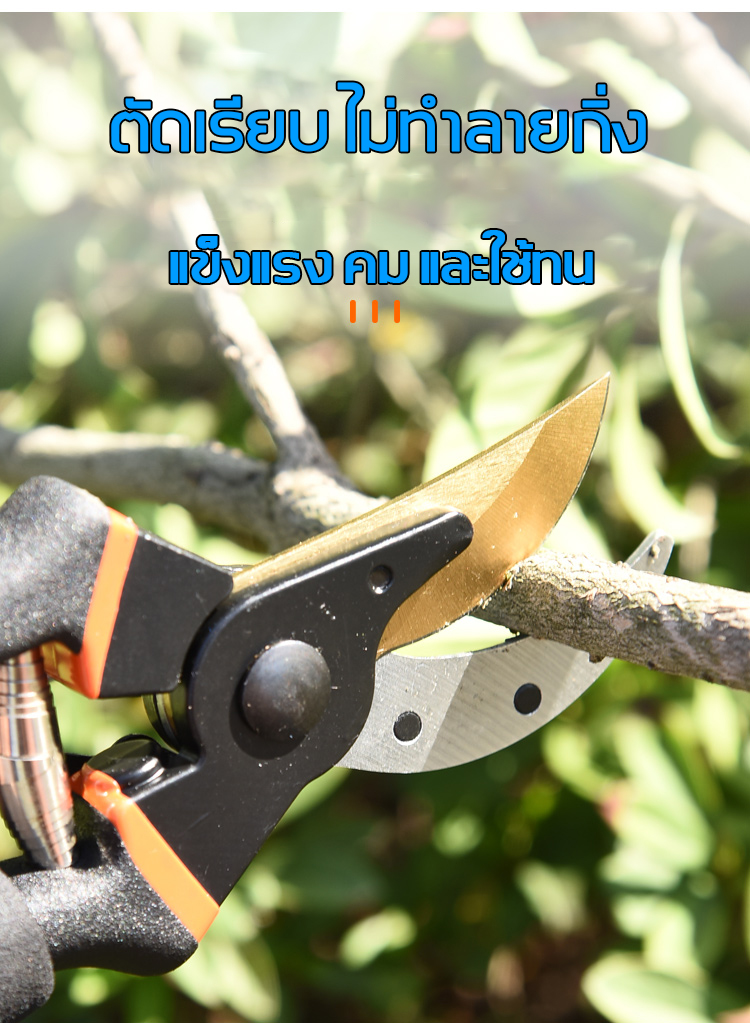 QXกรรไกรตัดกิ่ง โลหะผสมเหล็กSK5 10ปีก็คมเหมือนเดิมเครื่องมือทำสวน กรรไกรเสียบยอด ที่ตัดกิ่งไม้ ...