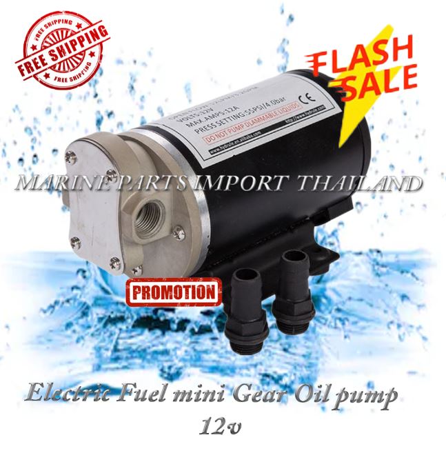 12v DC Electric Fuel mini Gear Oil pump | Lazada.co.th