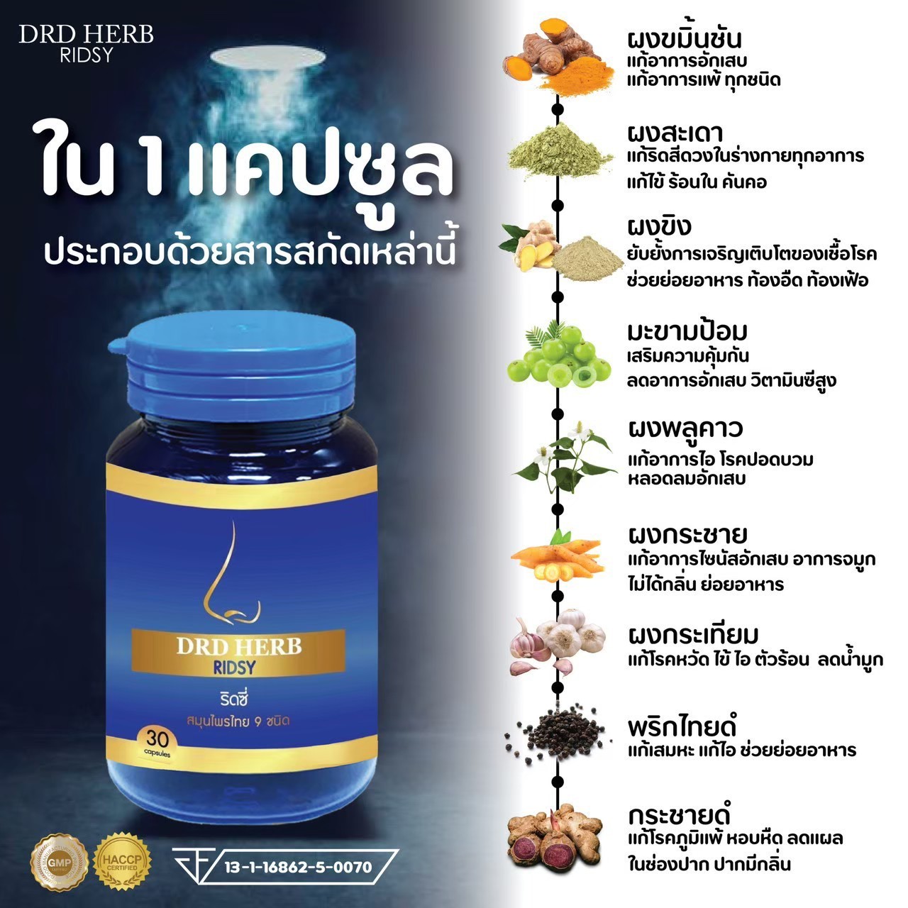 [ส่งฟรี] DRD HERB RIDSY ภูมิแพ้ ไซนัส หอบหืด หวัดเรื้อรัง โพรงจมูกอักเสบ ริดสีดวงจมูก หายใจไม่ ...