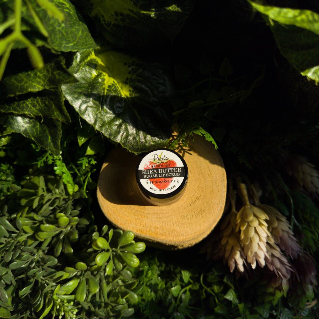 Pinto Natural สครับน้ำตาลผสมเชียร์บัตเตอร์ เพื่อริมฝีปากเนียนนุ่ม ไม่ ...