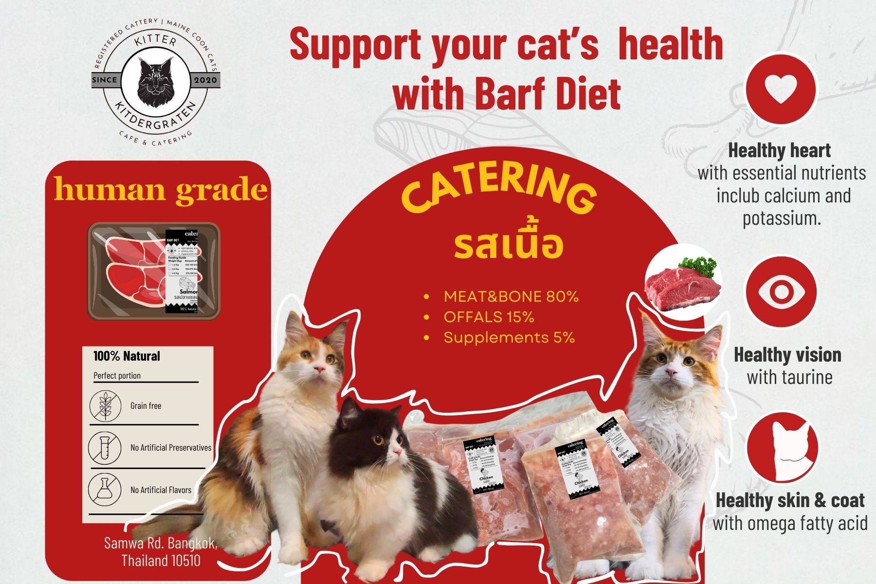 Cat BARF - Beef 250 g. บาร์ฟแมวสแช่แข็ง สูตรเนื้อ 250 g. | Lazada.co.th