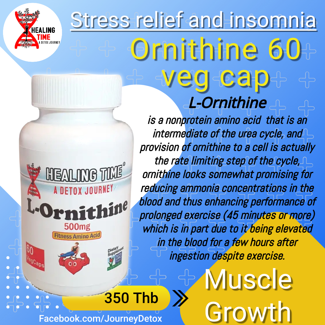L- Ornithine 500 mg 60 Veg Cap ammonia detox - Building Muscle ...