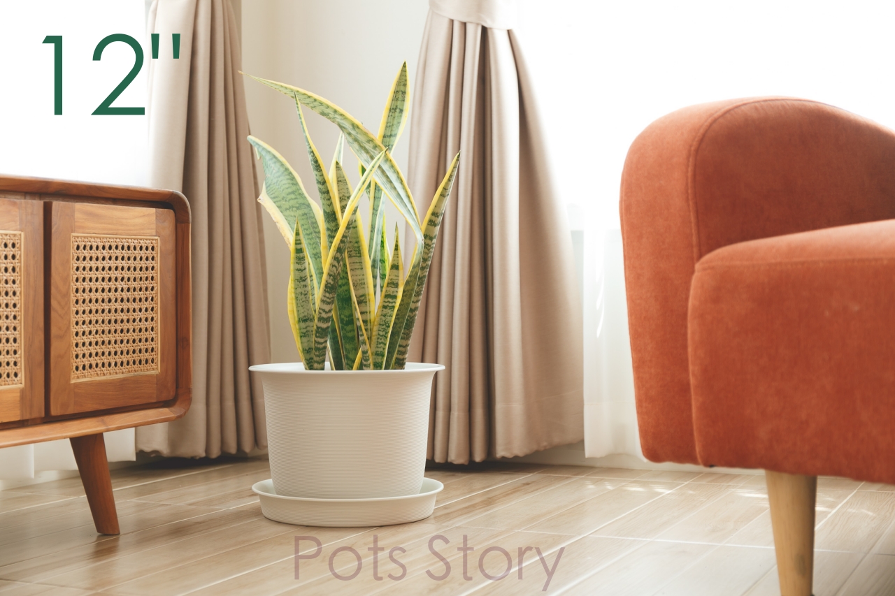 12 inches White Tree Pot Minimal style with saucer made by A grade ...