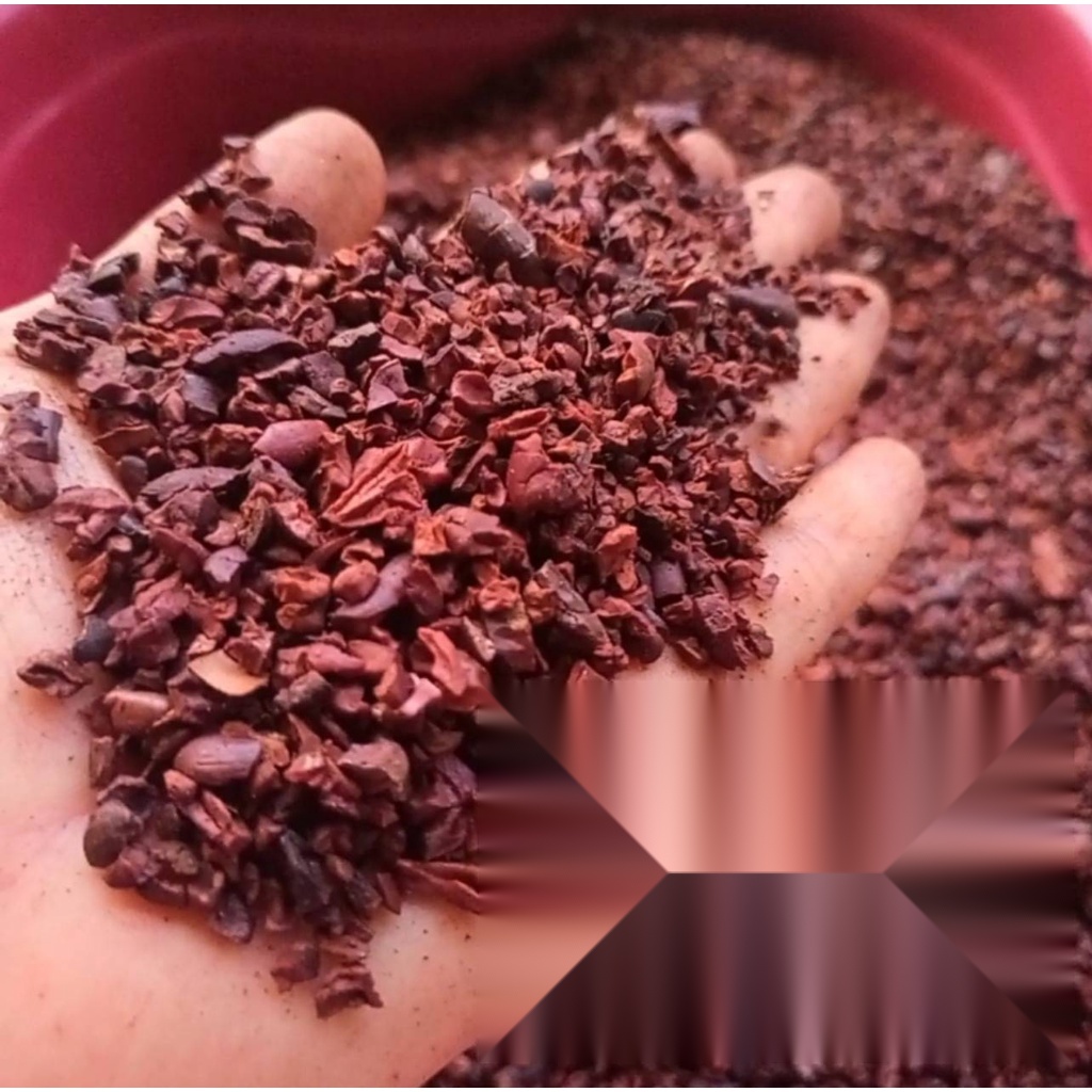 โกโก้นิบส์ จากสวน Cacao Nibs ถุงละ 20 บาท - ชาดาวอินคาสินค้า OTOP. เชียงใหม่ - ThaiPick