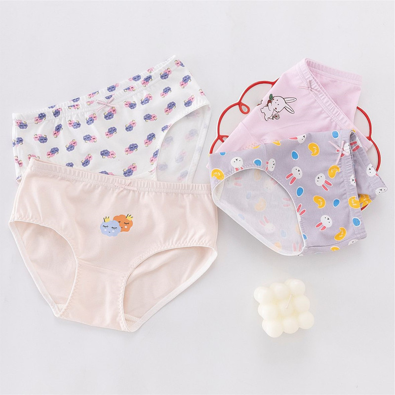 เซ็ตกางเกงในผ้าคอตตอนสำหรับเด็กหญิง4 ตัวA136 - AryangShop - ThaiPick