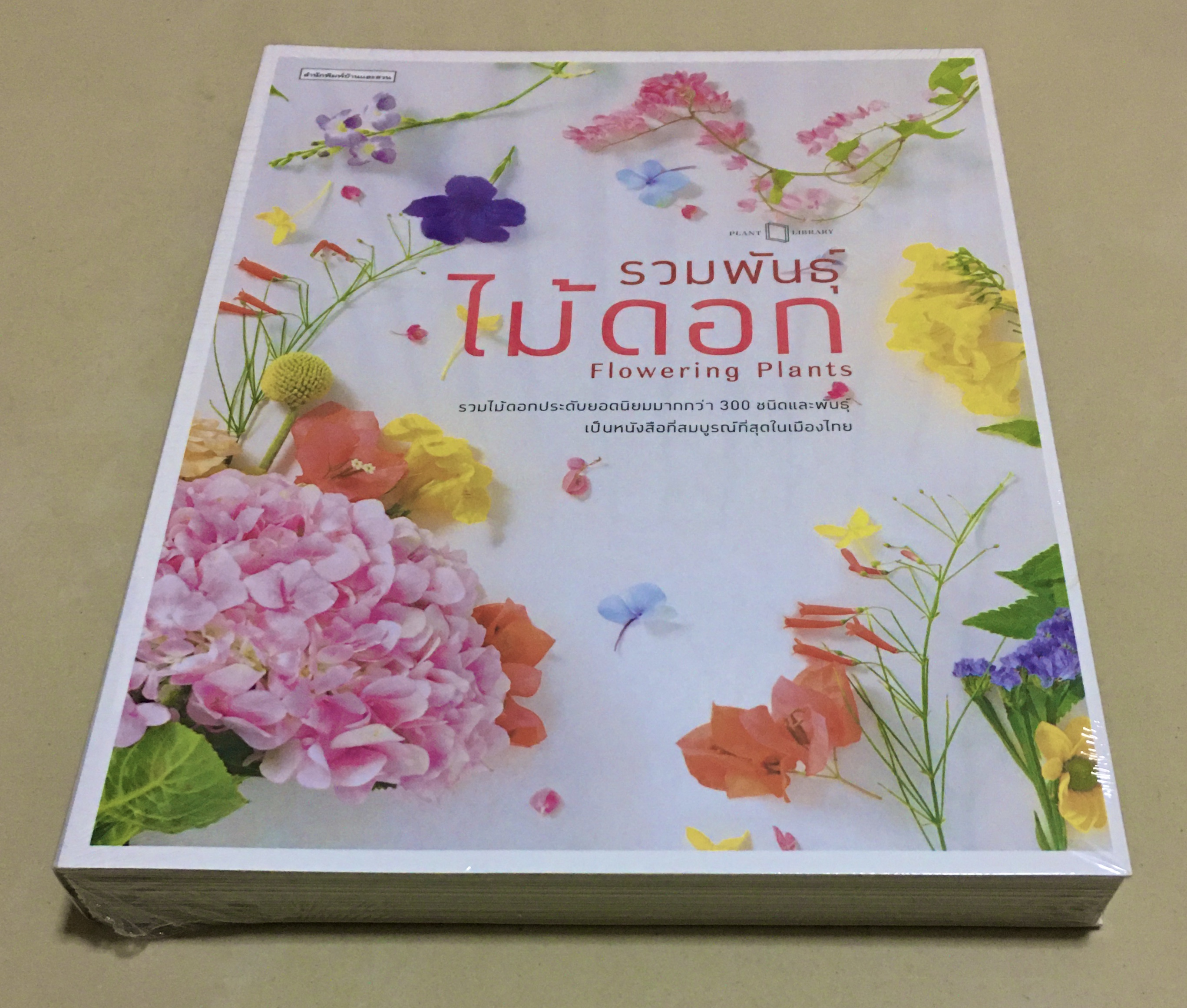 รวมพันธุ์ไม้ดอก Flowering Plants - PATCHA Store - ThaiPick