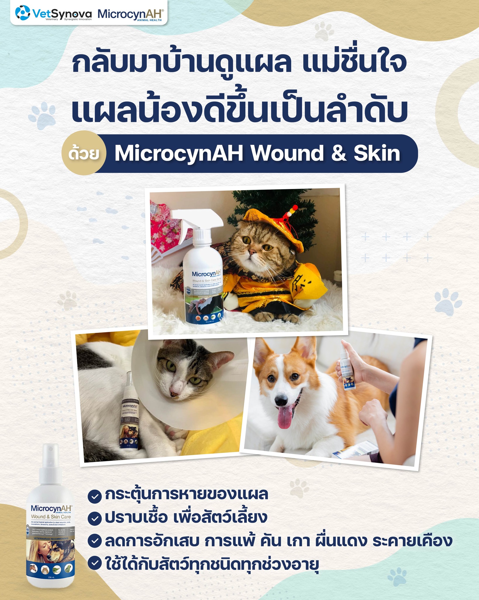 MicrocynAH Wound Skin Care Spray สเปรย์พ่นแผล ฆ่าเชื้อ ลดการอักเสบ โรค ...