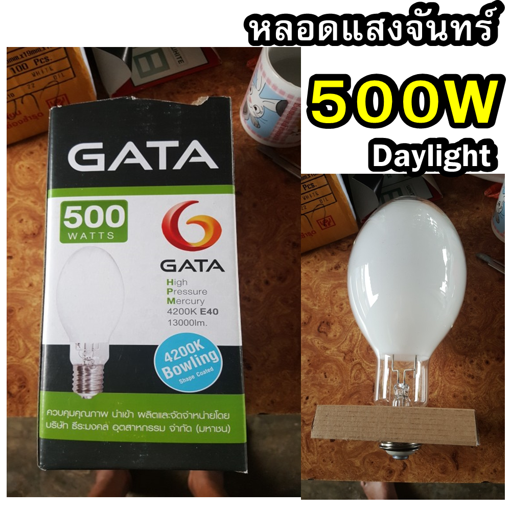 GATA หลอดต่อตรง 500W หลอดแสงจันทร์ HIGH PRESSURE MERCUY LAMP 500W ขั้ว E40 | Lazada.co.th